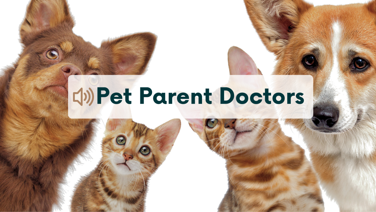 Products in Pet Parent Doctors